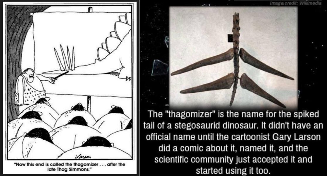 gary larson thagomizer – Bonaramis Blog and Portfolio